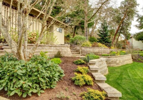 What is Landscape Construction: 3 Key Facts for 2024 Success