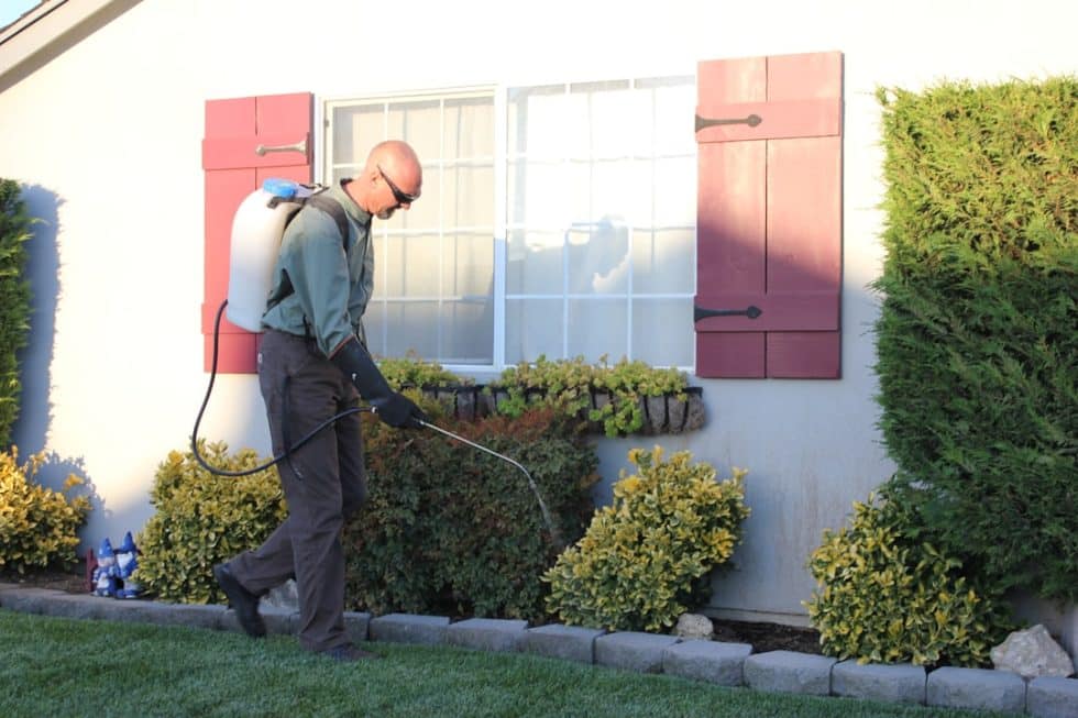 Handyman Lawn Care: Best 2025 Guide